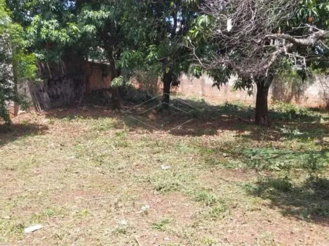 Casa / Sobrado para Locação em Bauru/SP Núcleo Residencial Presidente Geisel
