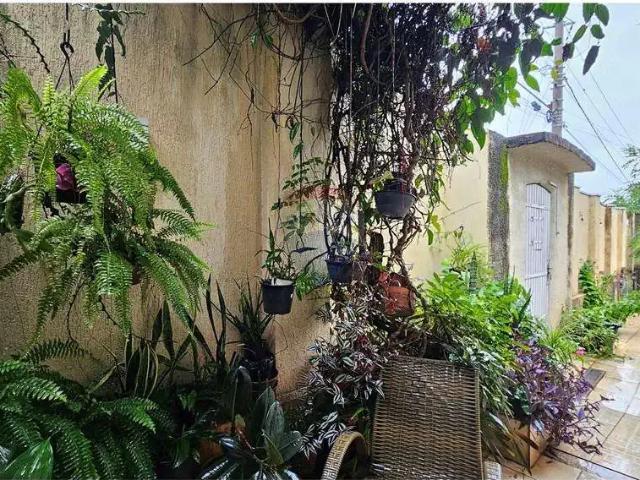 Casa / Sobrado para Locação em Itapira/SP Centro 3 Quartos