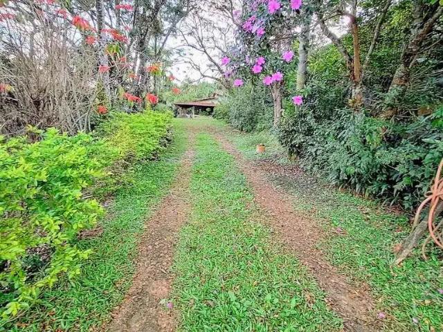 Casa / Sobrado para Locação em Itapira/SP Loteamento de Chácaras de Recreio Jardim Planalto 2 Quartos