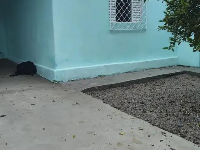 Casa / Sobrado para Locação em Mogi das Cruzes/SP Centro
