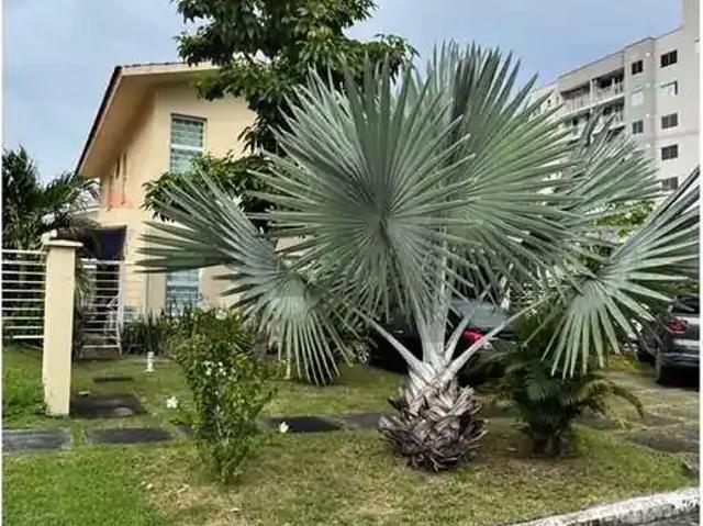 Casa / Sobrado para Locação em Manaus/AM Novo Aleixo 3 Quartos