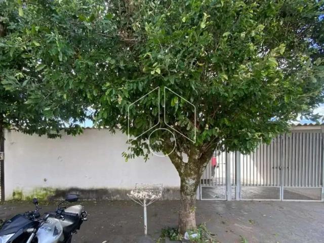 Casa / Sobrado para Locação em Marília/SP Núcleo Habitacional Costa e Silva 3 Quartos