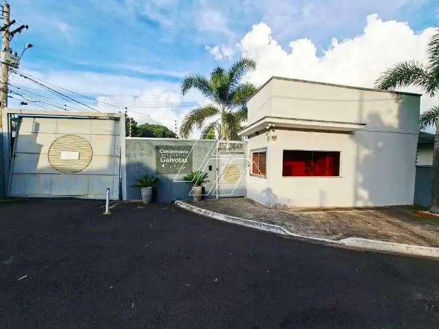 Casa / Sobrado para Locação em Marília/SP César de Almeida 2 Quartos