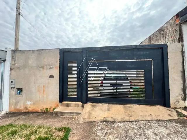 Casa / Sobrado para Locação em Marília/SP Residencial Salvador Bassalobre Padre Nóbrega 2 Quartos
