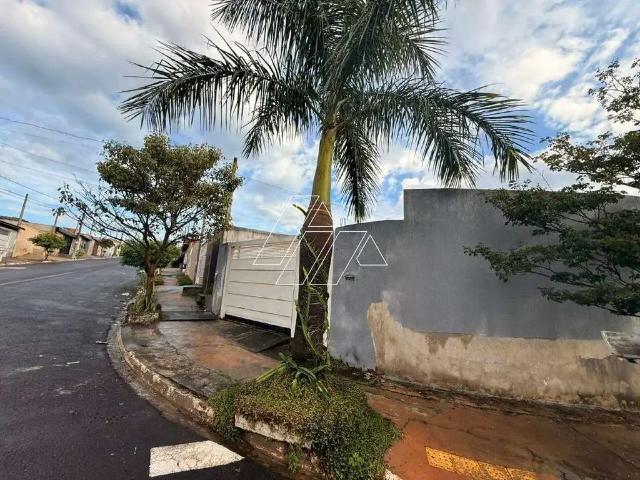 Casa / Sobrado para Locação em Marília/SP Residencial Vida Nova Maracá II Padre Nobrega 2 Quartos
