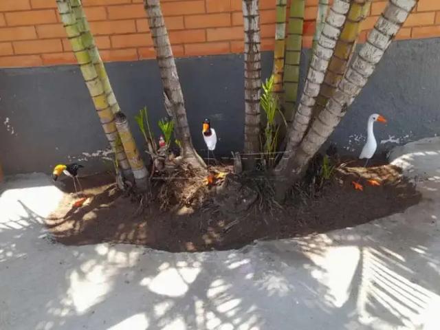 Casa / Sobrado para Locação em São Carlos/SP Vila Marcelino 2 Quartos