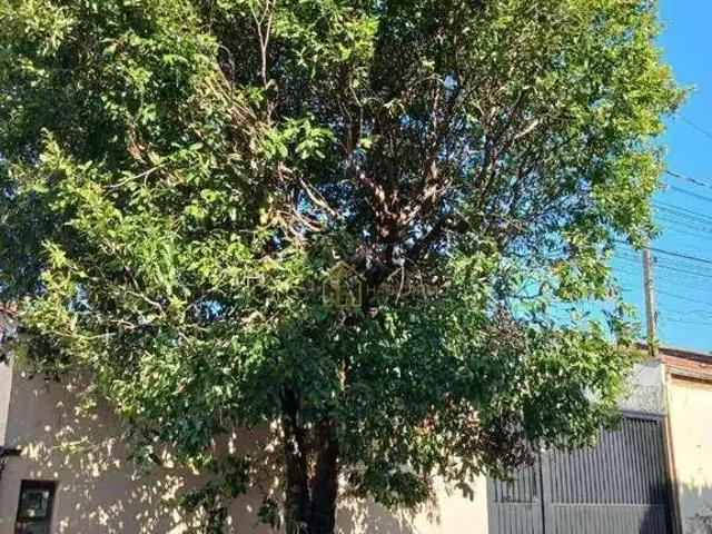 Casa / Sobrado para Locação em São José do Rio Preto/SP Jardim Antunes 1 Quartos
