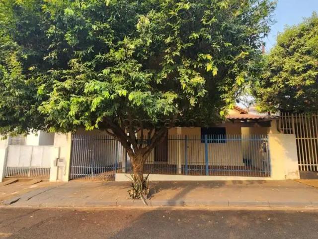 Casa / Sobrado para Locação em São José do Rio Preto/SP Vila Ercília 3 Quartos