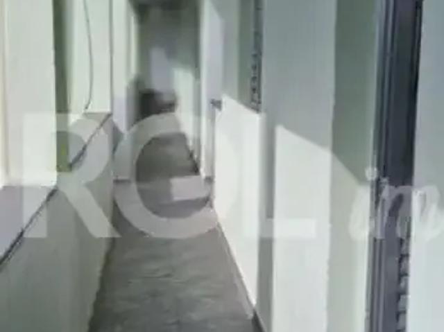 Casa / Sobrado para Locação em São Paulo/SP Casa Verde 2 Quartos