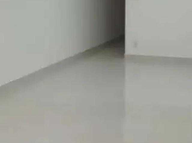 Casa / Sobrado para Locação em São Paulo/SP Jardim Aeroporto 4 Quartos