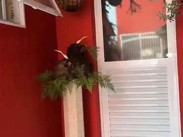 Casa / Sobrado para Locação em São Paulo/SP Vila Medeiros 1 Quartos