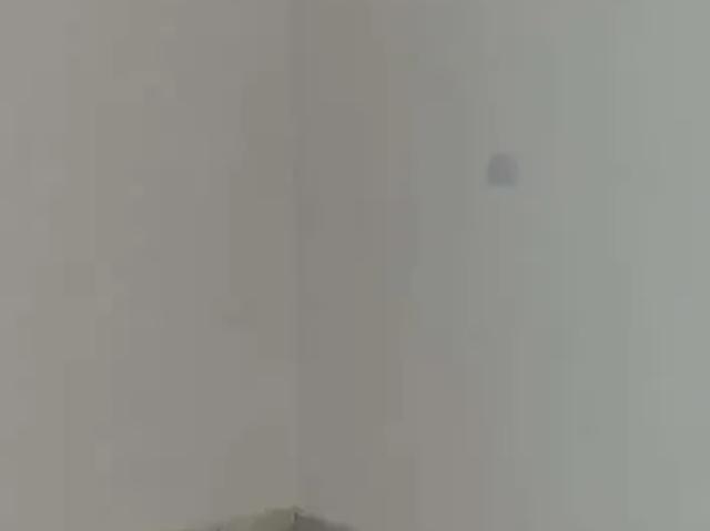 Casa / Sobrado para Locação em São Paulo/SP Vila Penteado 1 Quartos
