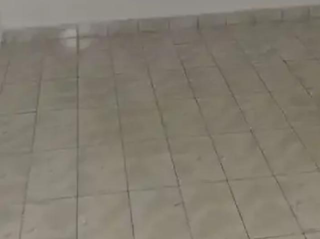 Casa / Sobrado para Locação em São Paulo/SP Vila Penteado 1 Quartos