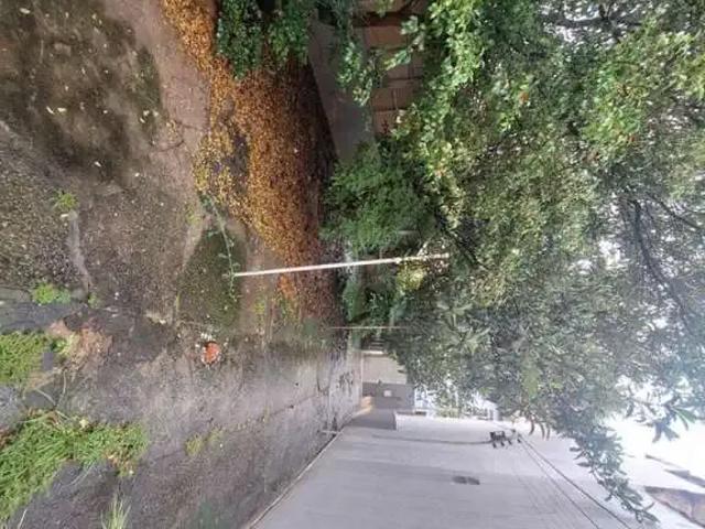Casa / Sobrado para Locação em São Paulo/SP Vila Polopoli 1 Quartos