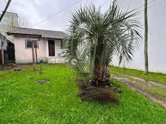 Casa / Sobrado para Locação em Santa Maria/RS Menino Jesus 2 Quartos