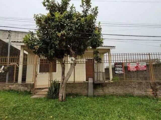 Casa / Sobrado para Locação em Santa Maria/RS Pinheiro Machado 4 Quartos