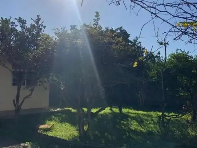 Casa / Sobrado para Locação em Palhoça/SC Guarda do Cubatão 2 Quartos