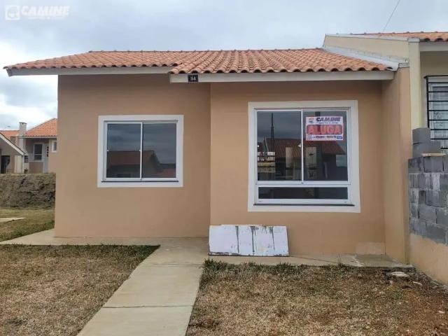 Casa / Sobrado para Locação em Palmas/PR Caldeiras 2 Quartos
