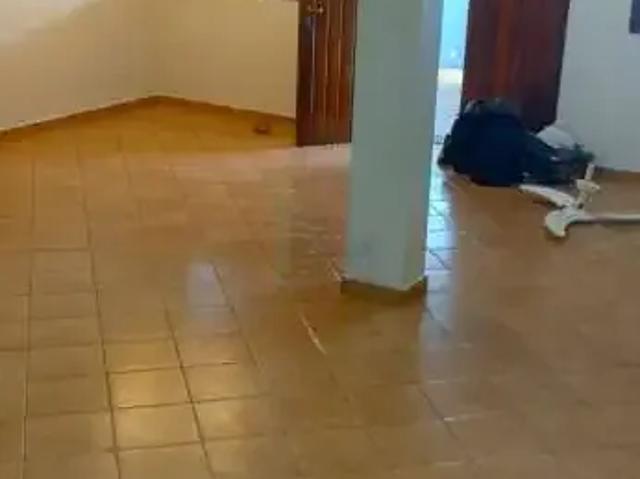 Casa / Sobrado para Locação em Ribeirão Preto/SP Residencial e Comercial Palmares 3 Quartos