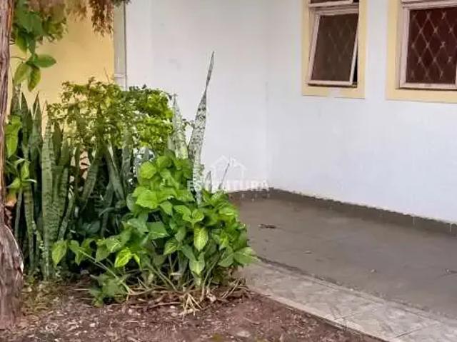 Casa / Sobrado para Locação em Rio Claro/SP Vila Santa Terezinha 2 Quartos