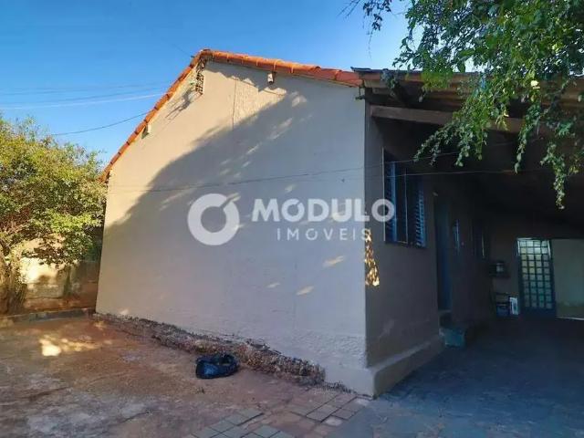Casa / Sobrado para Locação em Uberlândia/MG Conjunto Segismundo Pereira 3 Quartos