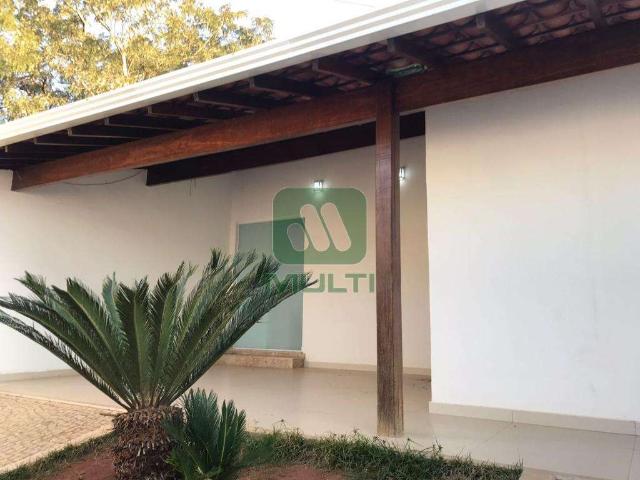 Casa / Sobrado para Locação em Uberlândia/MG Itapema Sul 3 Quartos