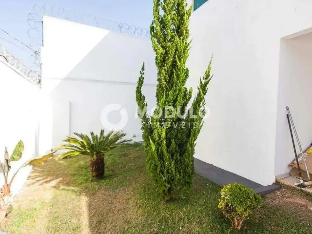 Casa / Sobrado para Locação em Uberlândia/MG Jardim Inconfidência 5 Quartos