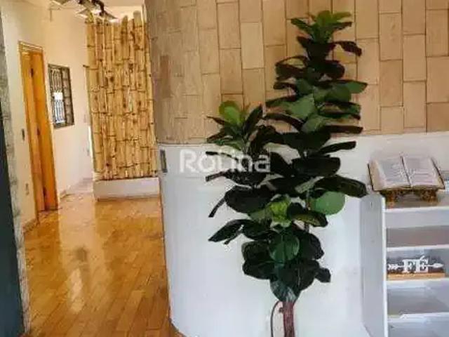 Casa / Sobrado para Locação em Uberlândia/MG Santa Mônica 3 Quartos