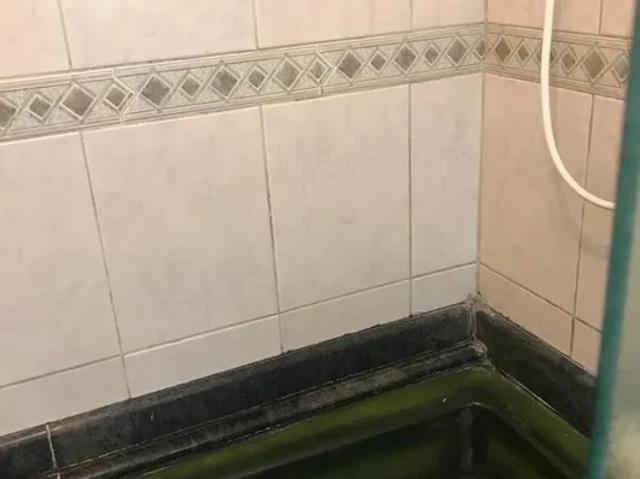 Casa Térrea em Vila Moinho Velho São Paulo