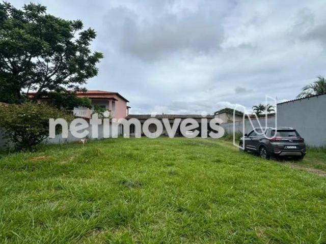 Casa térrea 3 quartos, em lote de 800m²
