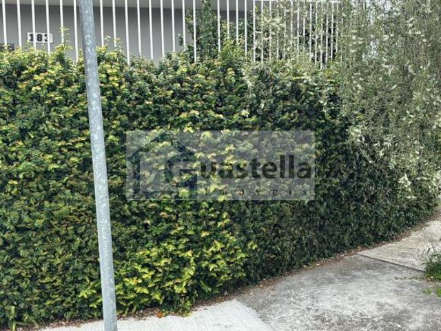Casa Térrea à Venda em Rudge Ramos, SBC – 3 Dorms, 230m²