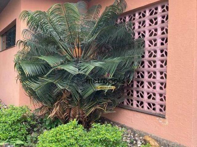 Casa Térrea com 3 dormitórios à venda, 224 m² por R$ 980.000 Vila Caminho do Mar São Bernardo do