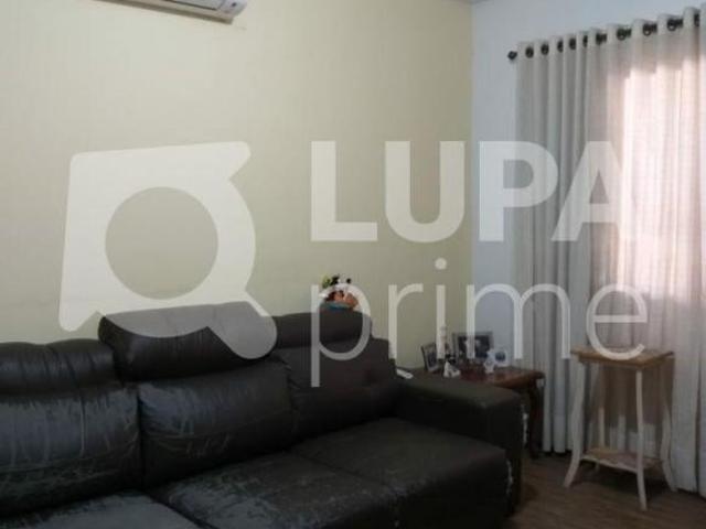 Casa Térrea com 3 dormitórios sendo 1 suíte á venda na Vila Dom Pedro II !