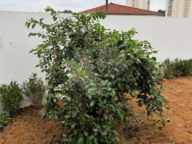 Casa térrea com 3 quartos à venda em Jardim líbano SP