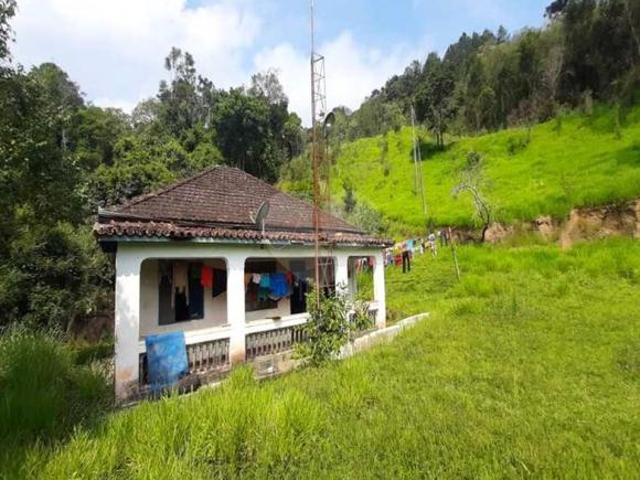 Casa térrea com 3 quartos à venda em Rio abaixo SP