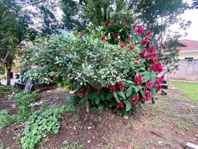 Casa térrea com 2 quartos à venda em Horto florestal SP