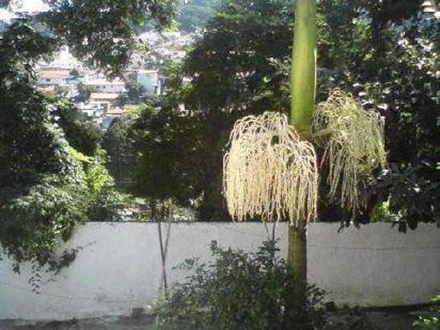 Casa terrea de 250m² com 2 quartos