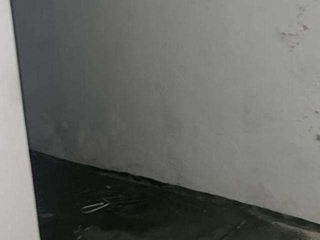 Casa Térrea em Independência São Bernardo do Campo