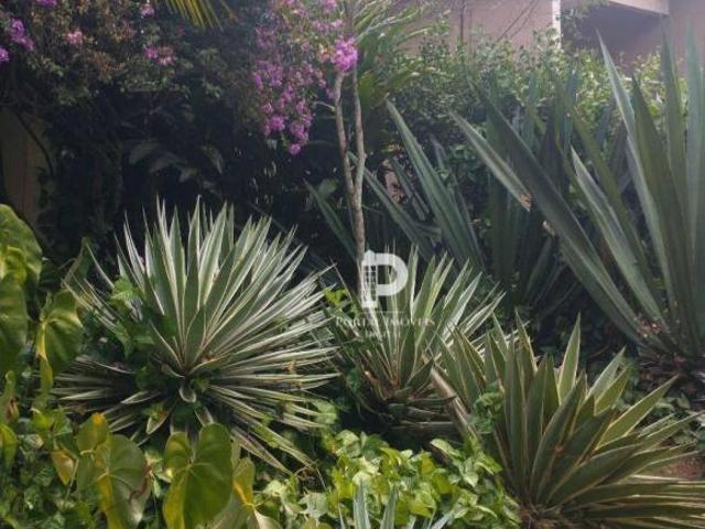 Casa térrea, em rua sem saída e em condomínio pequeno,próxima a tudo, a 2 minutos do centro, com fác