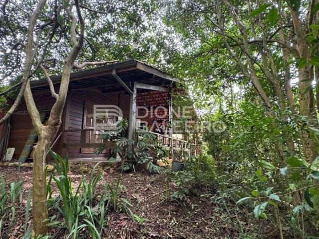 Casa terrea no centro com mata, riacho e privacidade real