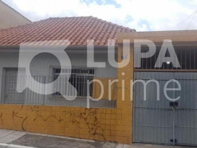 CASA TÉRREA PARA RENDA, VILA MARIA ALTA, SÃO PAULO