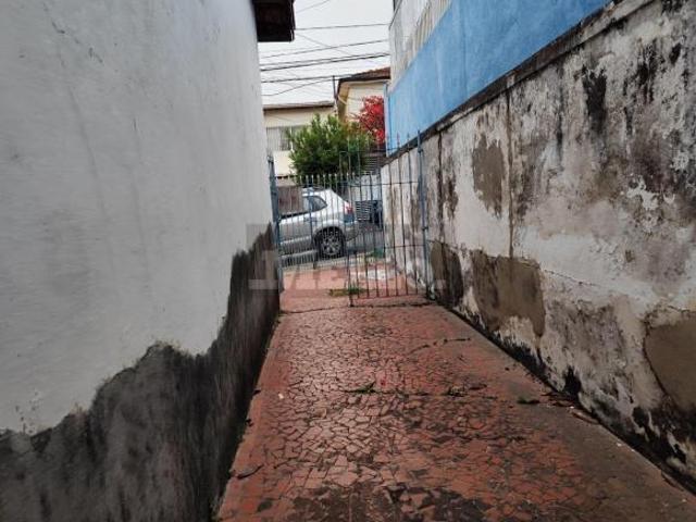 Casa Térrea, Saúde São Paulo