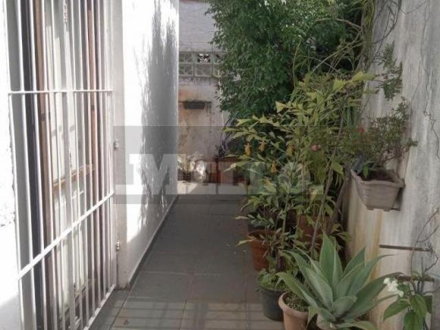 Casa Térrea, Saúde São Paulo