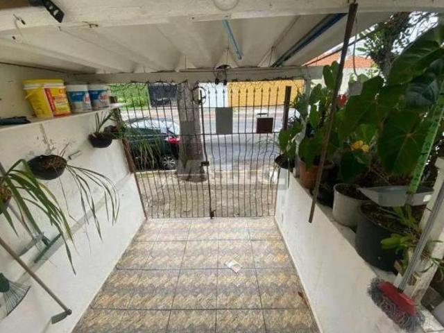 Casa Térrea, Saúde São Paulo