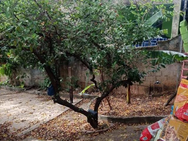 Casa, Tropical, Contagem, MG