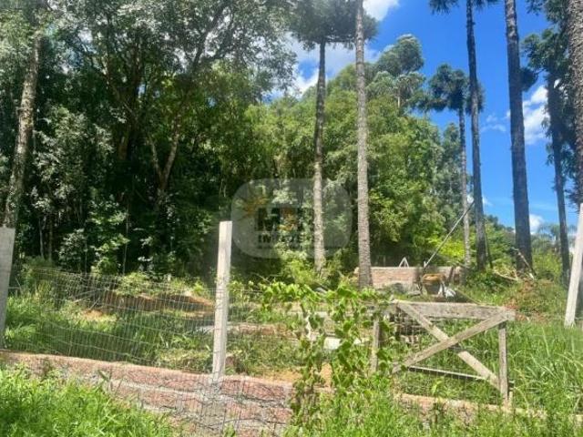Casa, Vale Verde, Nova Petrópolis, RS