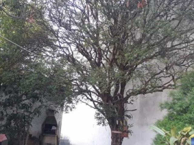 CASA VENDA VILA MARIANA, 80m²