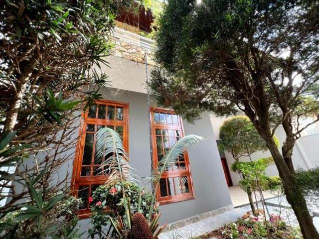 Casa, Werner Plaas, Americana, SP