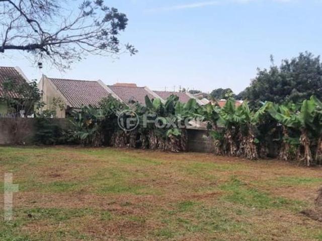 Casa, 2 dormitórios, 110 m², em Morada Gaúcha