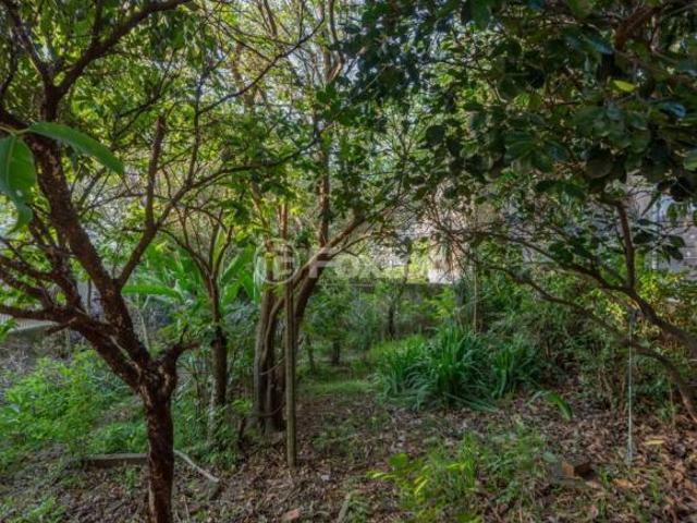 Casa, 3 dormitórios, 180 m², em Vila Ipiranga
